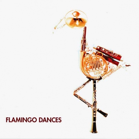 Flamingo Dances - Musik- und Kunstschule der Stadt Bielefeld